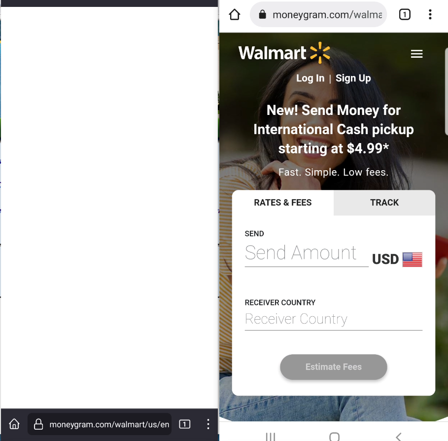 www.moneygram.com - Blank page displayed · Issue #101846 · webcompat ...