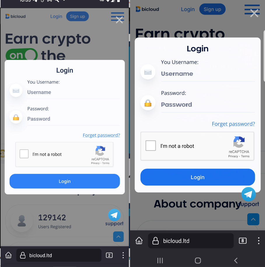 bicloud.ltd - see bug description · Issue #101989 · webcompat/web-bugs · GitHub