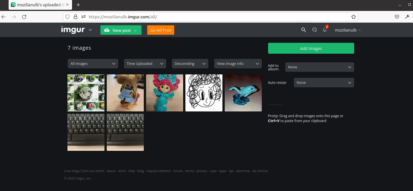 imgur.com - see bug description · Issue #106025 · webcompat/web-bugs ...