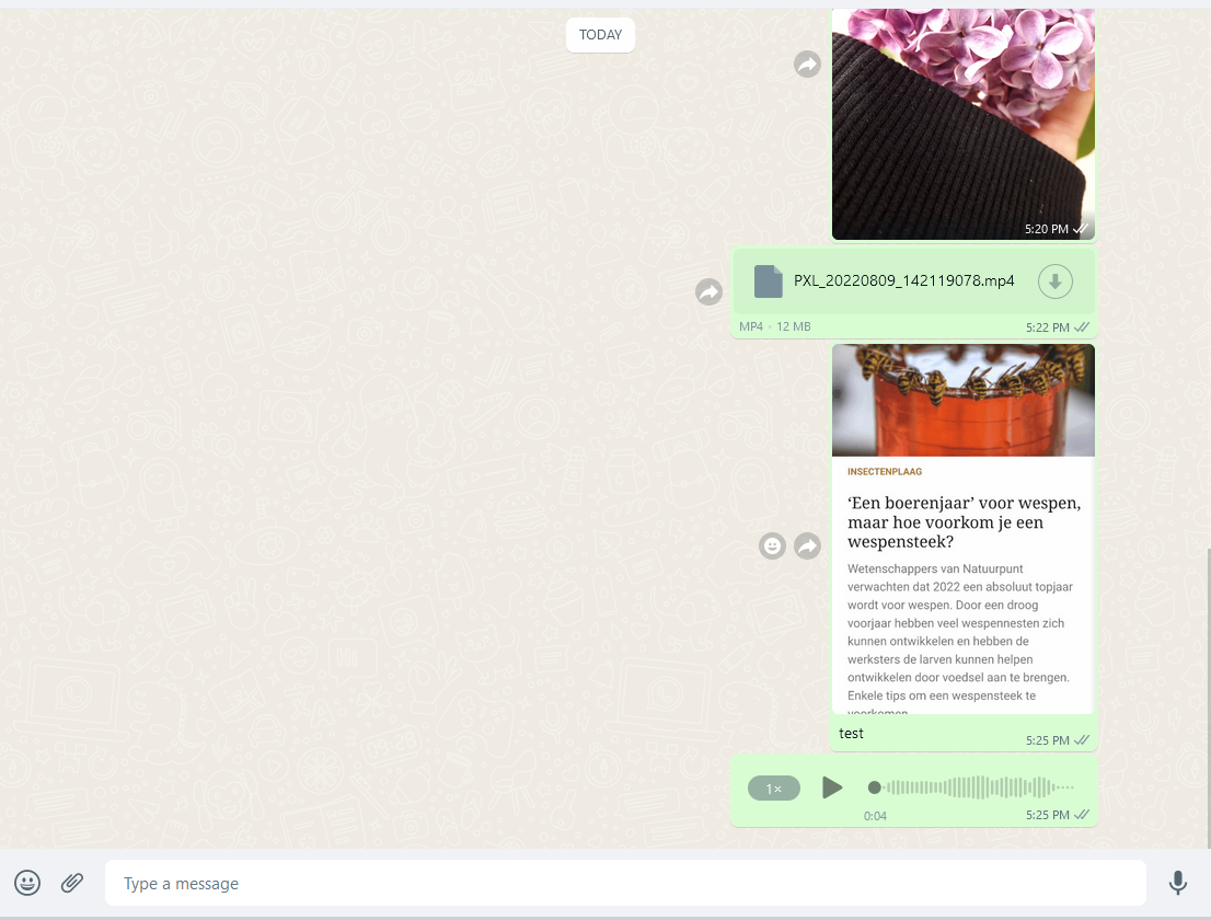 web.whatsapp.com - see bug description · Issue #108687 · webcompat/web ...