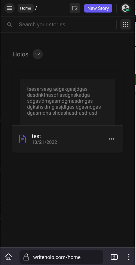 writeholo.com - see bug description · Issue #112642 · webcompat/web-bugs · GitHub