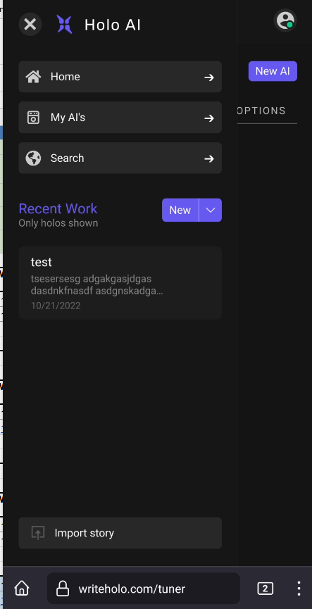 writeholo.com - see bug description · Issue #112642 · webcompat/web-bugs · GitHub