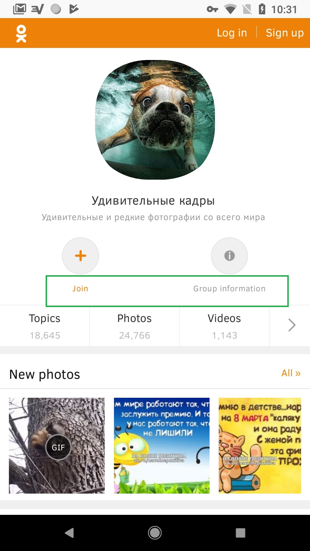 www.ok.ru – Text is cropped on other “User profile” page · Issue #6955 ...