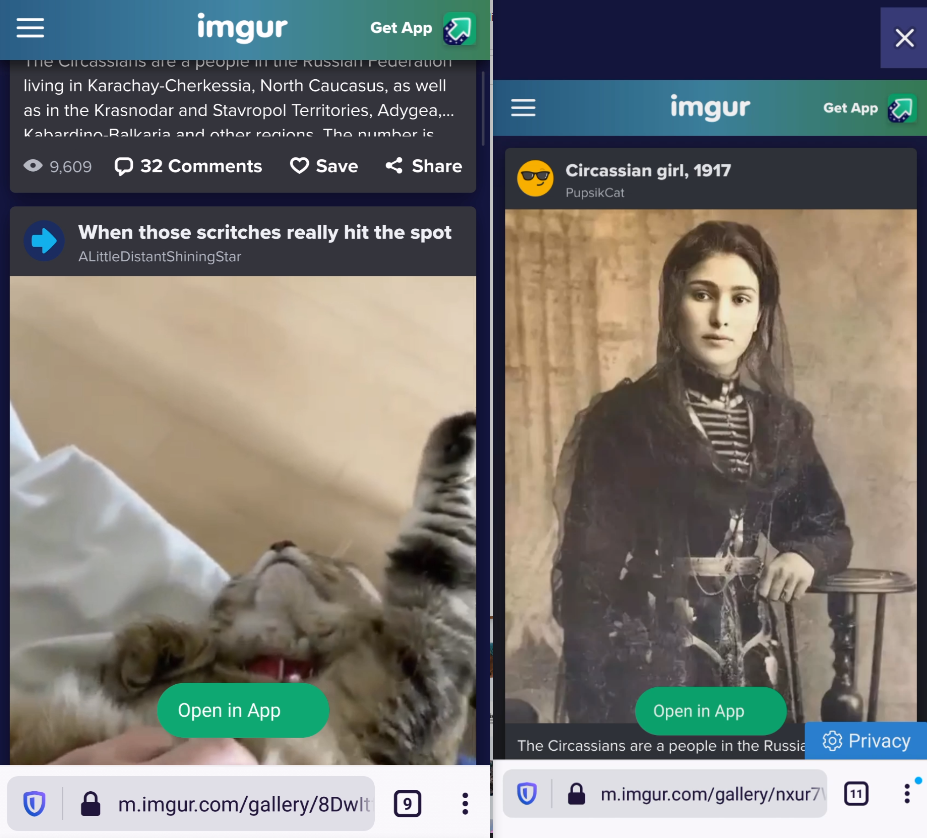 imgur.com - site is not usable · Issue #56968 · webcompat/web-bugs · GitHub