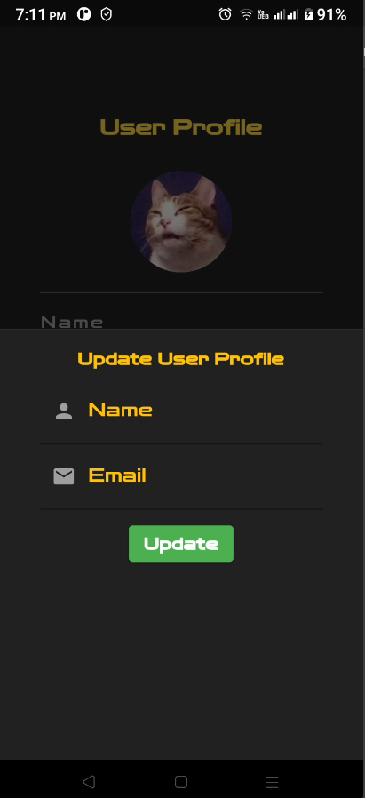GitHub - Vustron/Flutter-World-Time: a simple flutter android app that uses API to get world ...