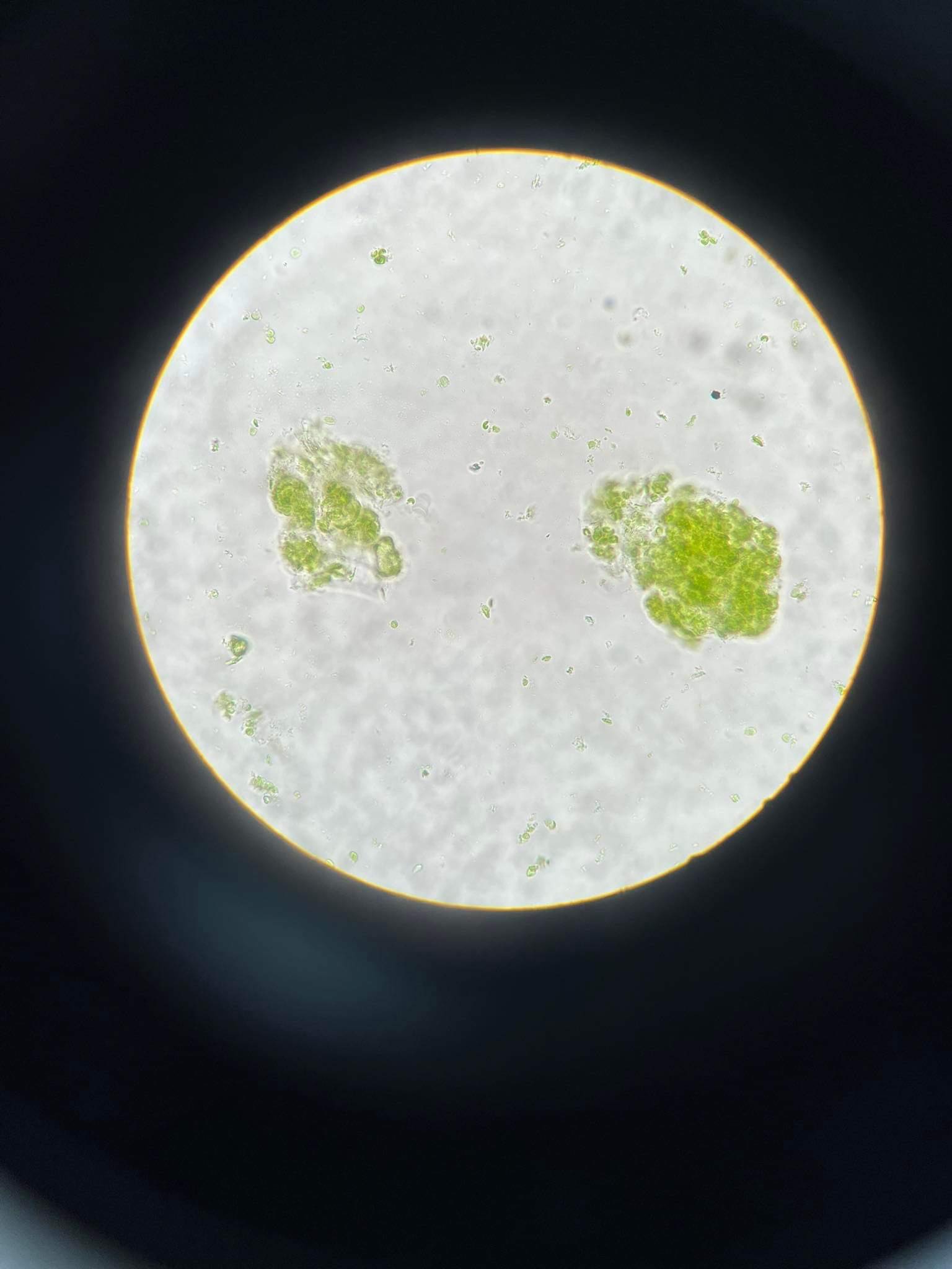 GitHub - Teeraph/CMB-Lab: picture