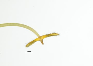 GitHub - Teeraph/CMB-Lab: picture