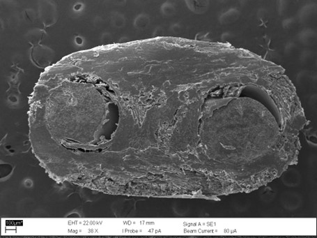 GitHub - Teeraph/CMB-Lab: picture