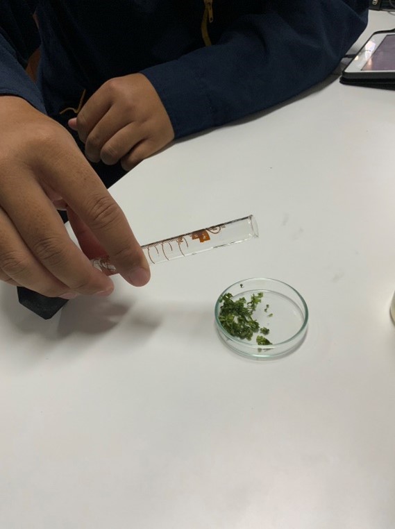 GitHub - Teeraph/CMB-Lab: picture