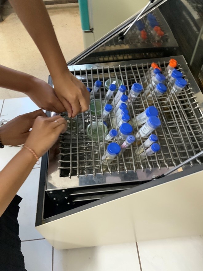 GitHub - Teeraph/CMB-Lab: picture