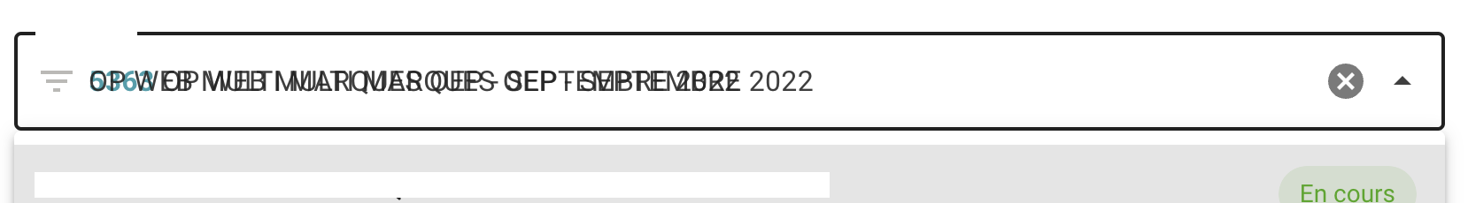 [Bug Report][3.0.2] Autocomplete : superpose actual selection and input field on focus · Issue ...