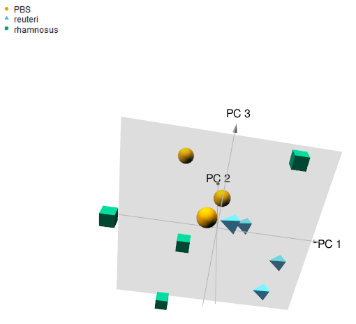 GitHub - Sandorhn/R-Investigation-of-the-Hippocampus-of-Mice: Mice were ...