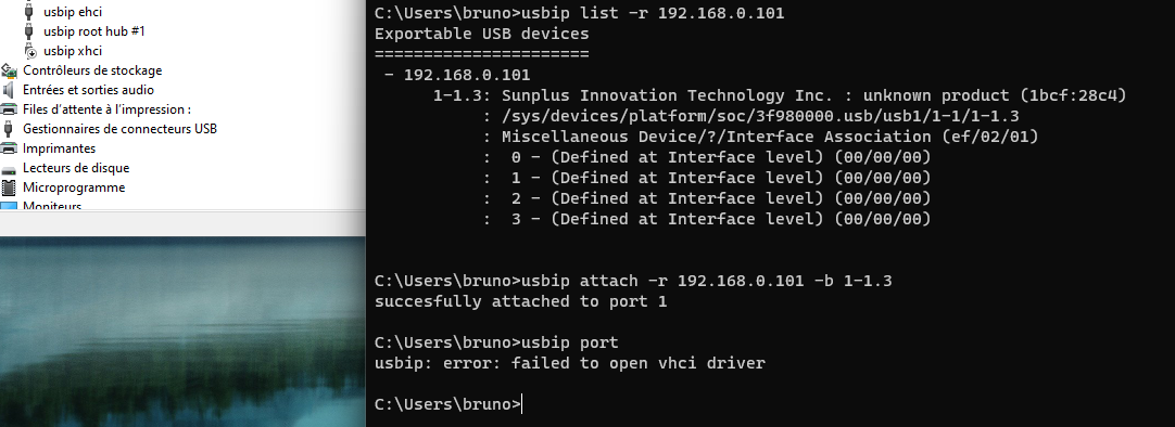 Multiple bug & "low speed" · Issue #37 · vadimgrn/usbip-win2 · GitHub
