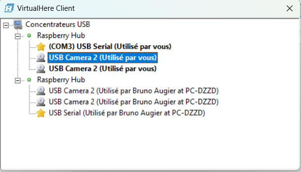 Multiple bug & "low speed" · Issue #37 · vadimgrn/usbip-win2 · GitHub
