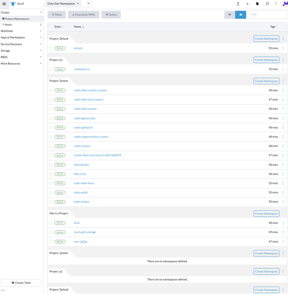Projects in "Group by Project" view are duplicated · Issue #4455 · rancher/dashboard · GitHub