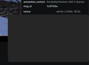 Tensor preview in mp_pose is empty · Issue #1476 · rerun-io/rerun · GitHub