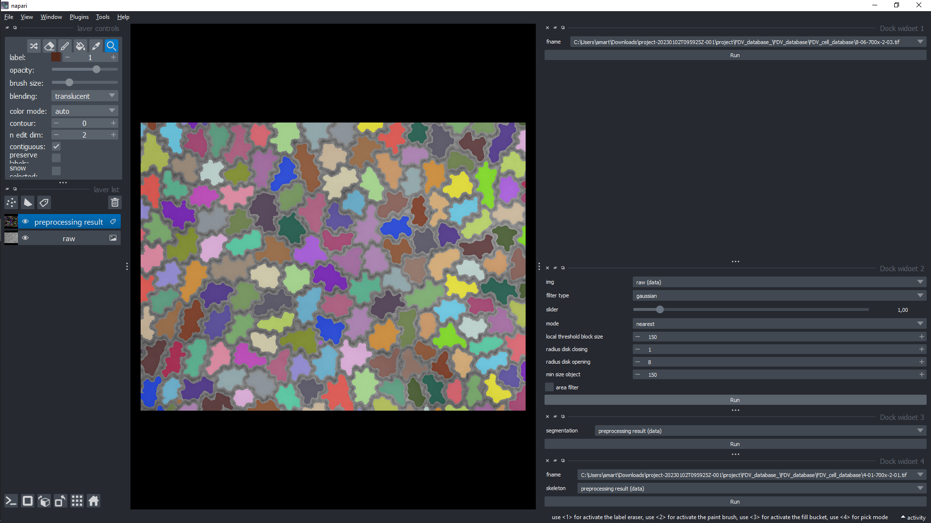 GitHub - sophiech05/Leaf-epithelium-analysis-using-Python