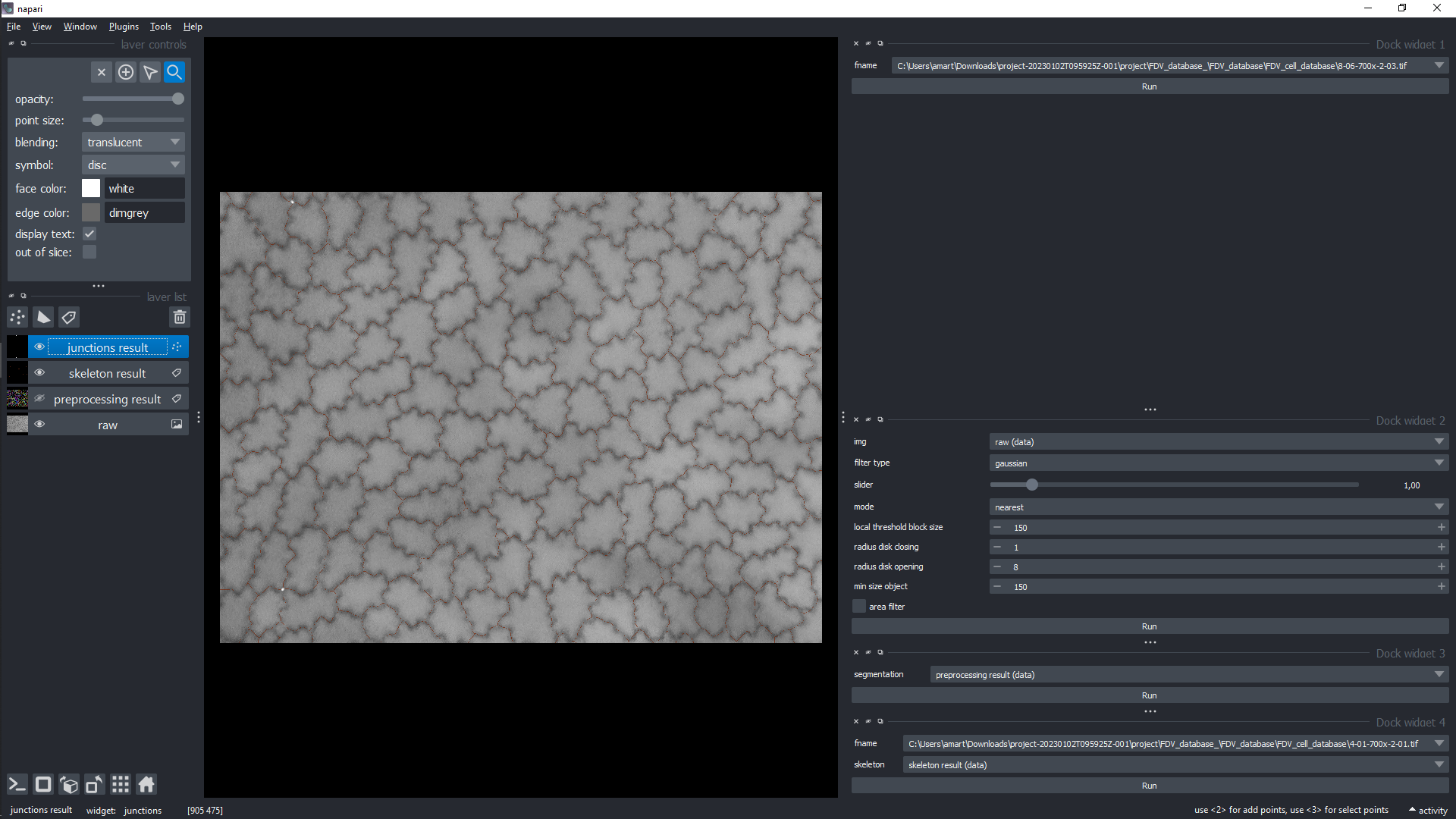 GitHub - sophiech05/Leaf-epithelium-analysis-using-Python