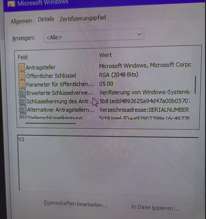 Windows: Question for adminrights to execute bat Script · Issue #2931 · rustdesk/rustdesk · GitHub