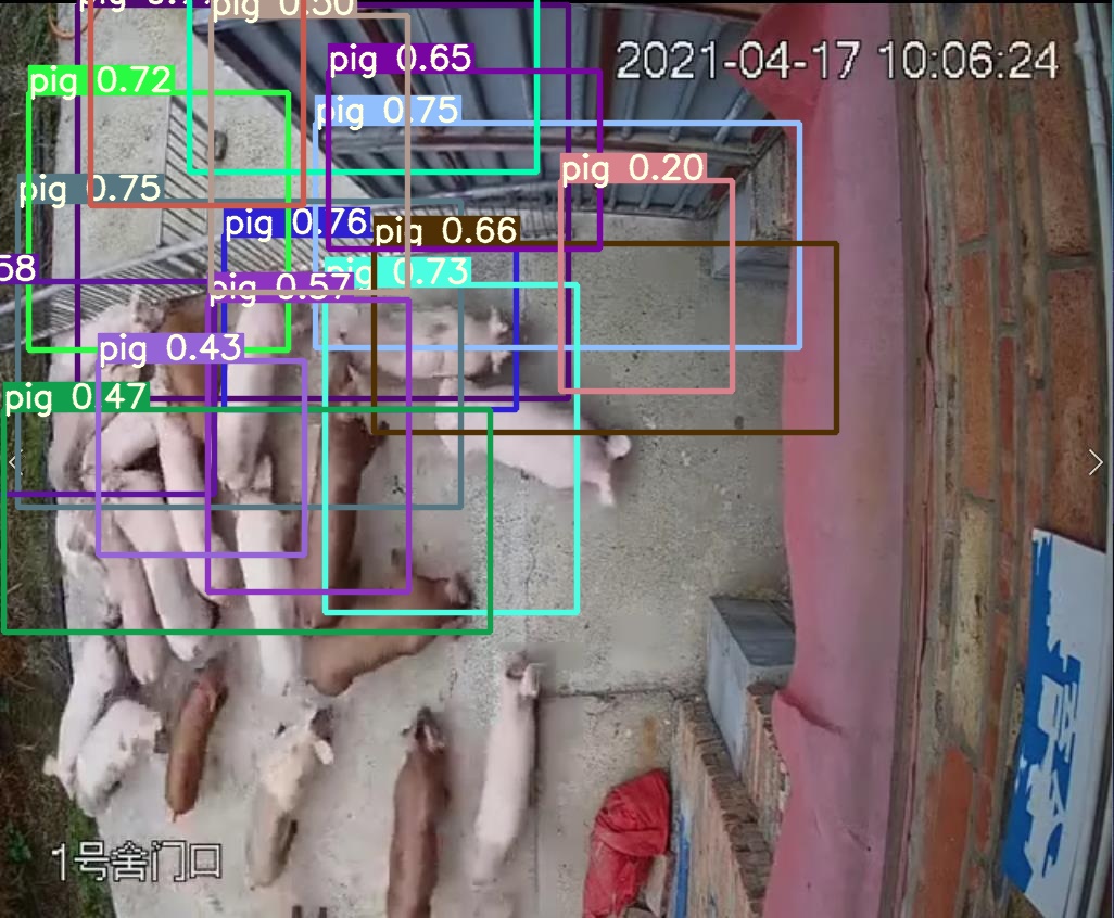 Bounding Box Position Deviation Problem · Issue 12780 · Openvinotoolkit Openvino · Github