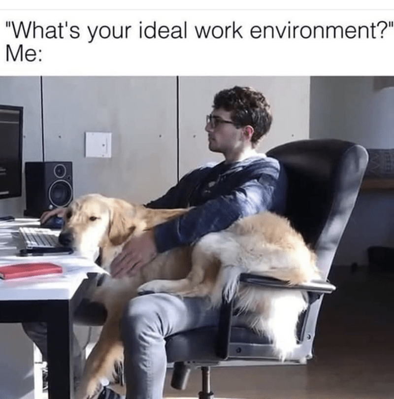 tmoog (Taylor Moog) · GitHub