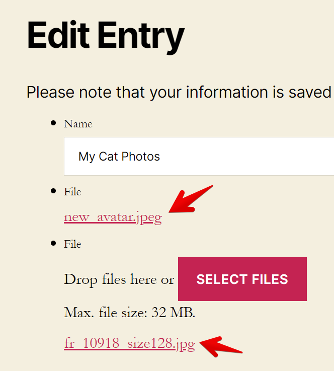 Gravity Forms 2.5.6.4 vanished with the delete button for file upload fields on Edit Entry ...