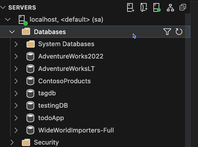 no new (+) icon on database folder when hovering · Issue #23655 · microsoft/azuredatastudio · GitHub