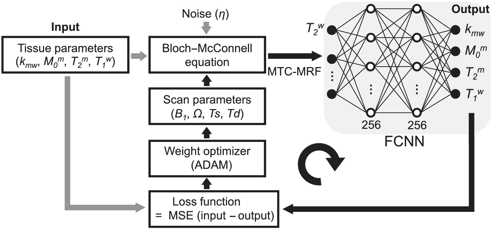 GitHub - Heo-Group/LOAS-MRF: Learning-based optimization of acquisition schedule for ...