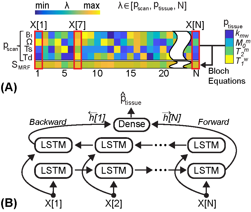 GitHub - Heo-Group/OTOM-MRF: Only-Train-Once MR Fingerprinting for Magnetization Transfer ...
