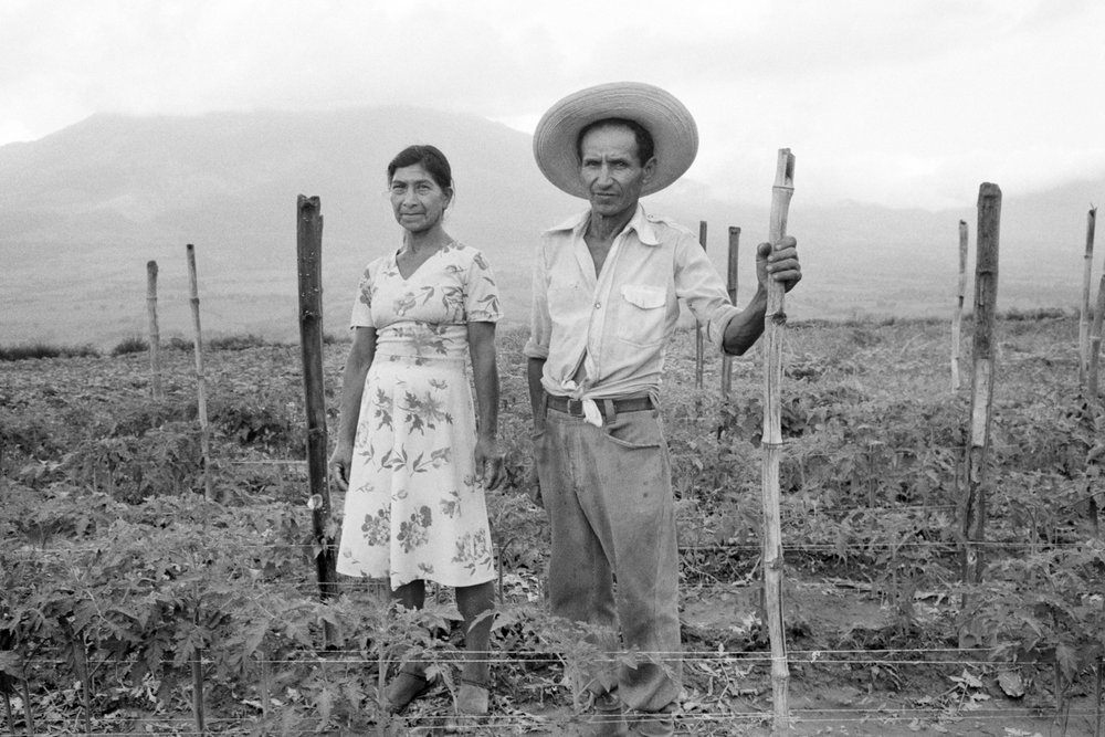 ELS - Replace Feliciano Ama's portrait with that of an Indigenous man ...