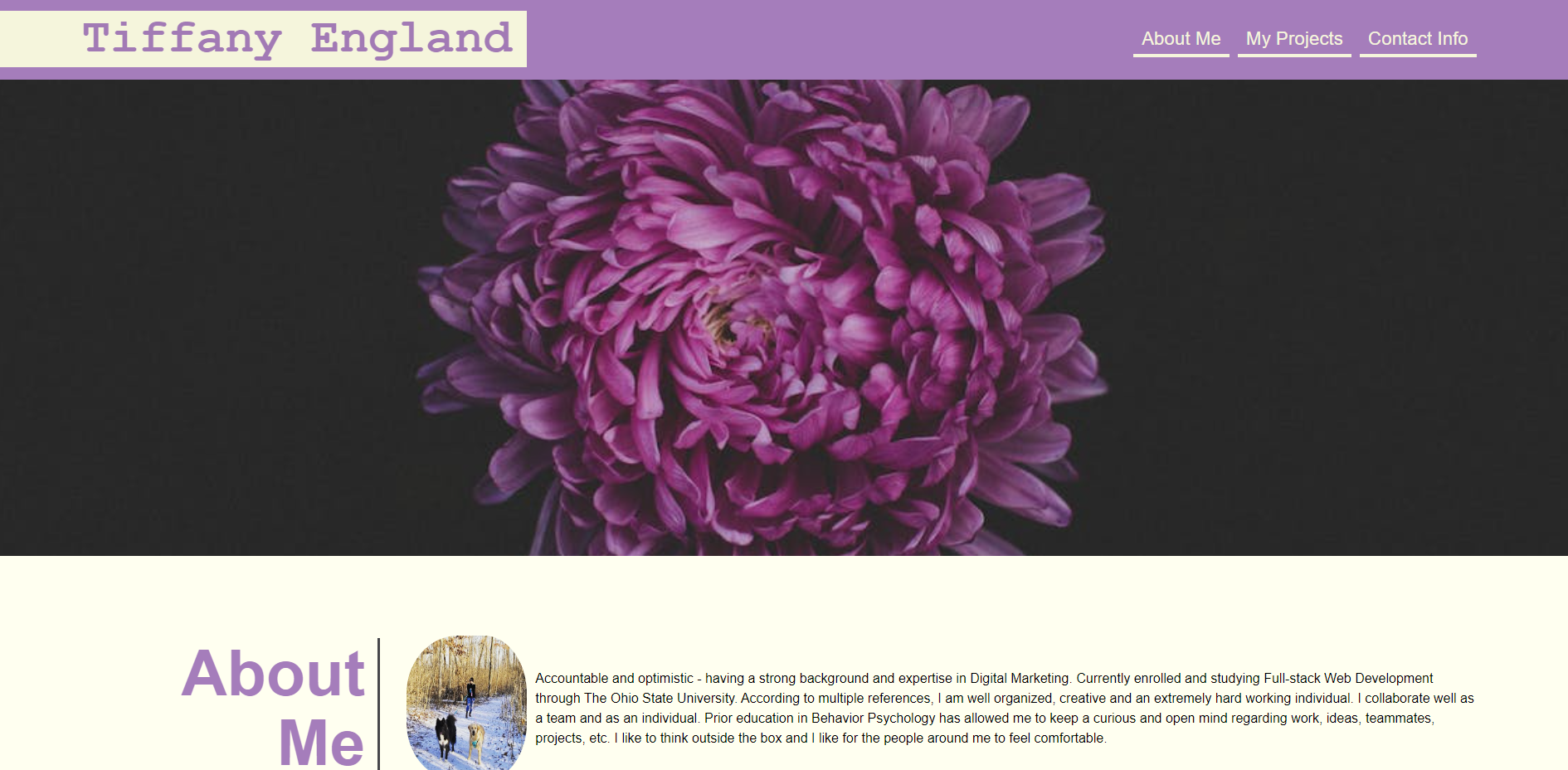 GitHub - Trengland/My-Professional-Portfolio: Module 2 Challenge - Professional Portfolio