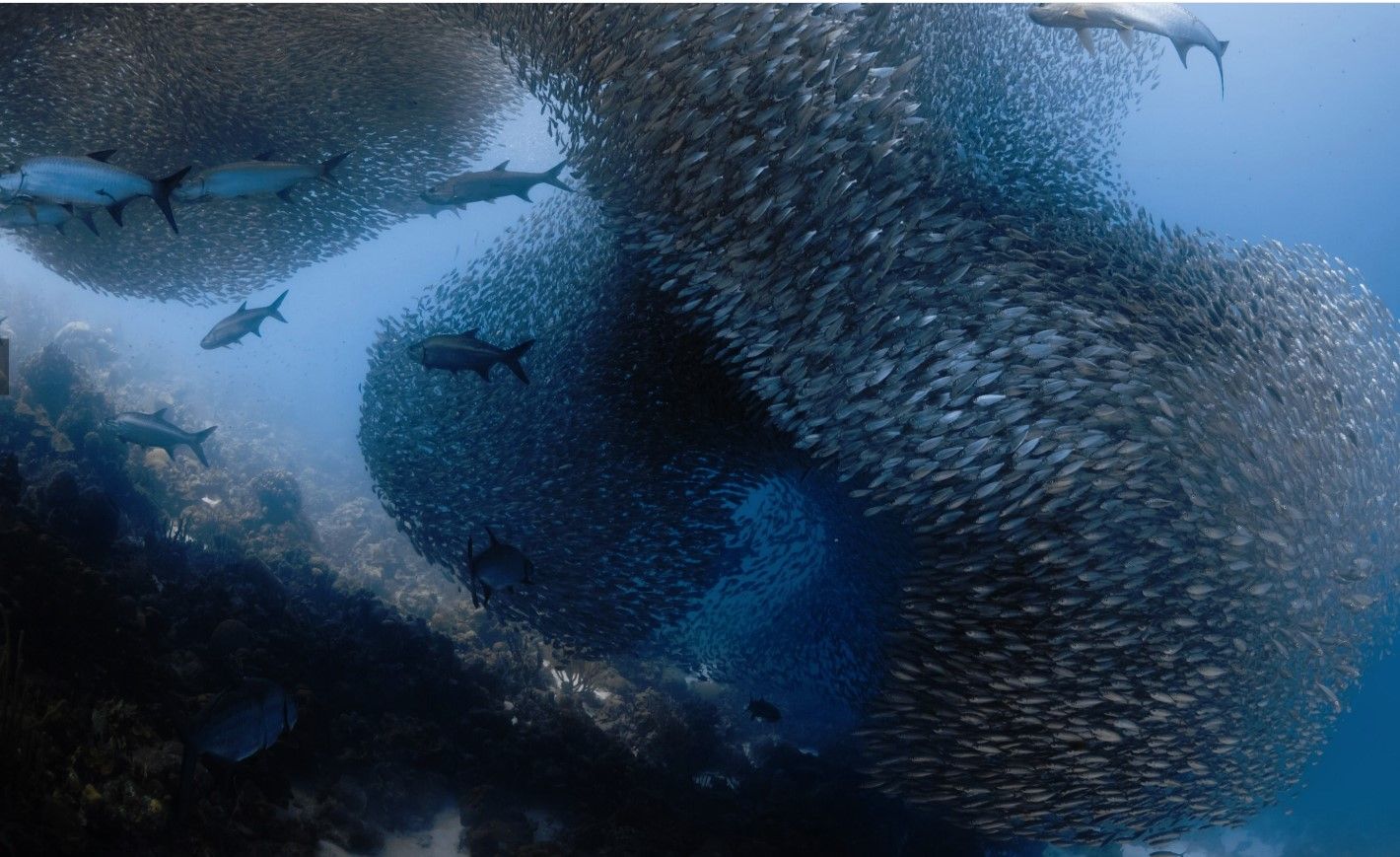 GitHub - 000Dan00010/DATT3400-A01