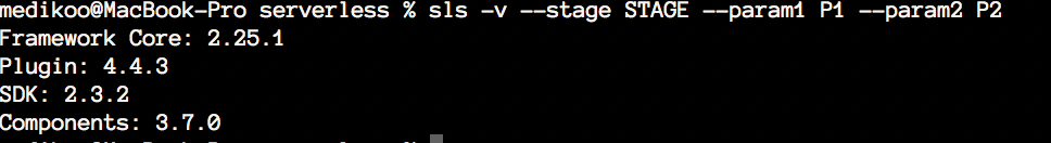 Using -v parameter not working, shows the help text instead · Issue #8963 · serverless ...