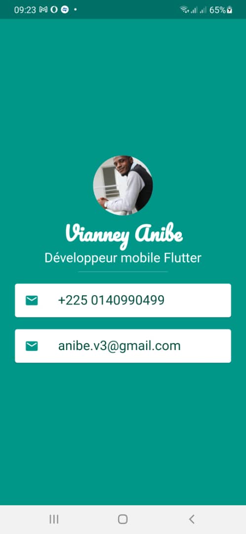 GitHub - anibev3/Simple-Connexion-Screen