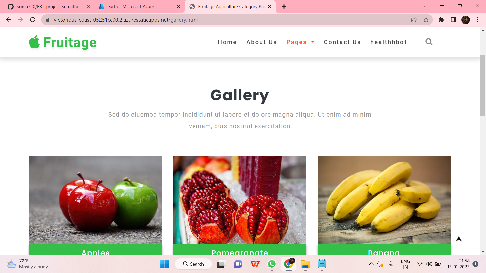 GitHub - DoneSumathi1/FRT-project-sumathi