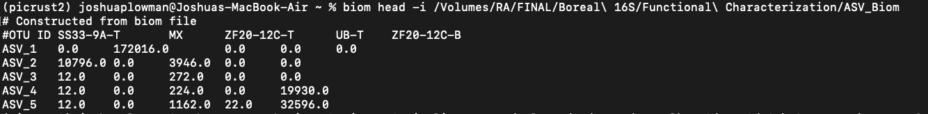 "Stopping - no ASV ids overlap between input FASTA and sequence abundance table" despite having ...