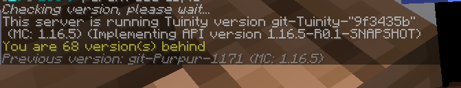 Please Help With Server Crash · Issue 8788 · Papermc Paper · Github