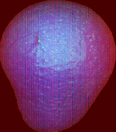 GitHub - ioanaigret/Identifying-Ripe-Fruit-using-Hyperspectral-Imagery