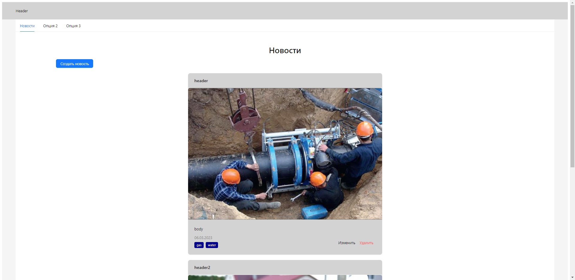 GitHub - NovozhilovAlex/nir-frontend