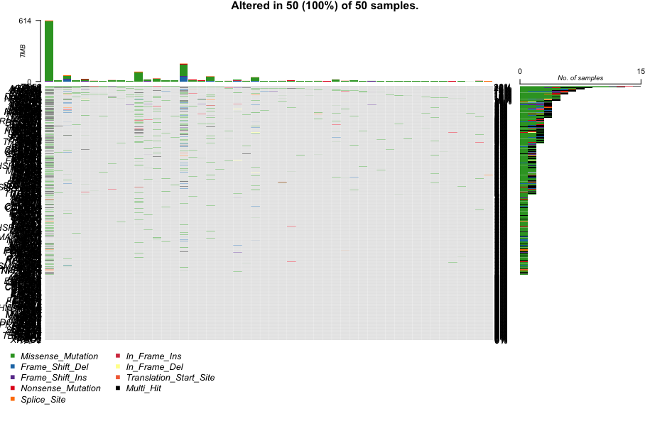 Oncoplot: top vs genes parameter · Issue #775 · PoisonAlien/maftools · GitHub