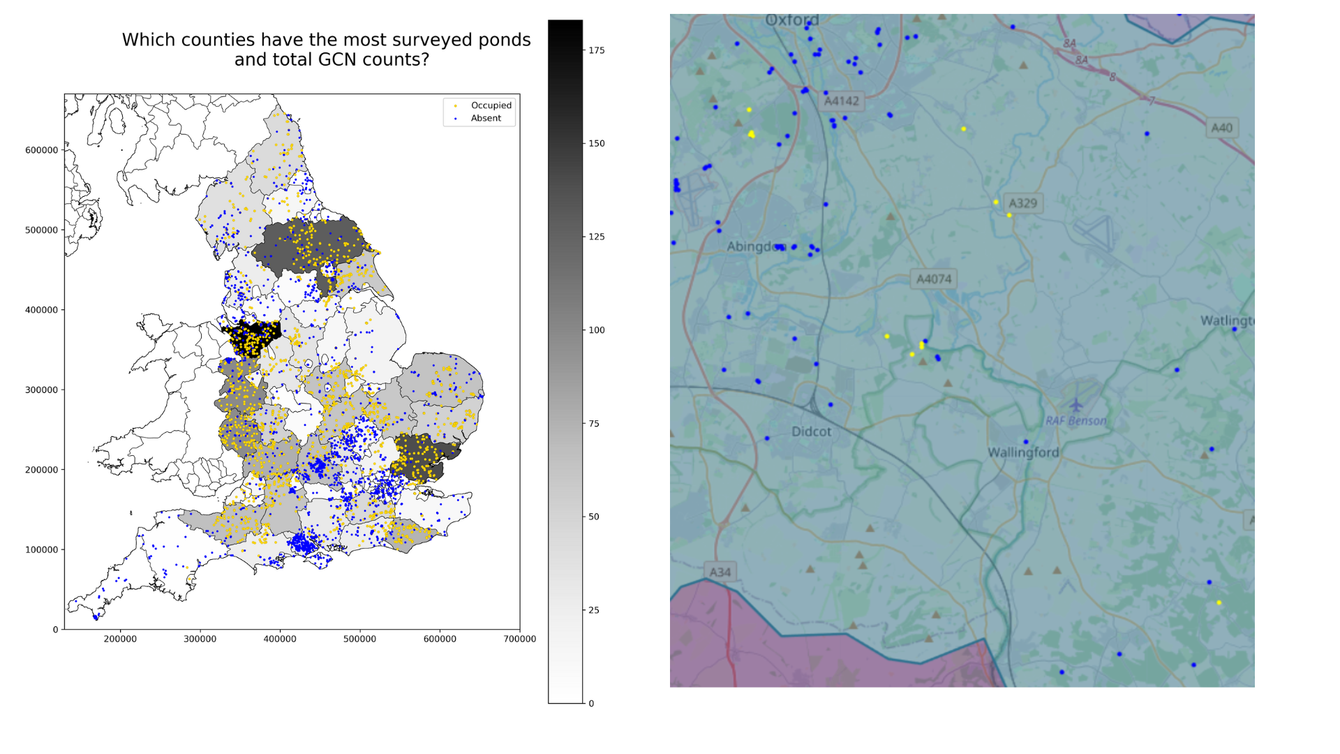 GitHub - NPTravell/Great-Crested-Newt-Pond-Analysis: 'Great Crested ...