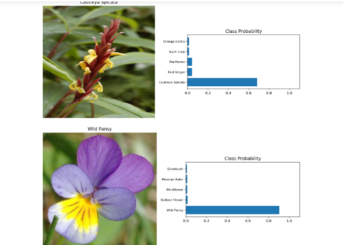 GitHub - Gagan-Patel/Image-classification-with-Keras