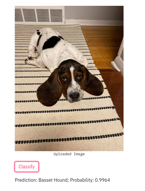 GitHub - amir-bouzayene/mlops-project: Dog Classification