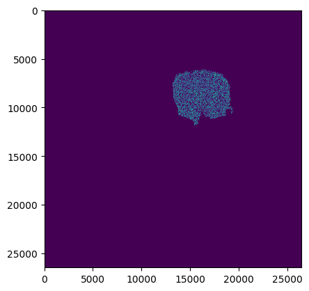 Question About Register Image .tif on adata · Issue #632 · scverse/squidpy · GitHub