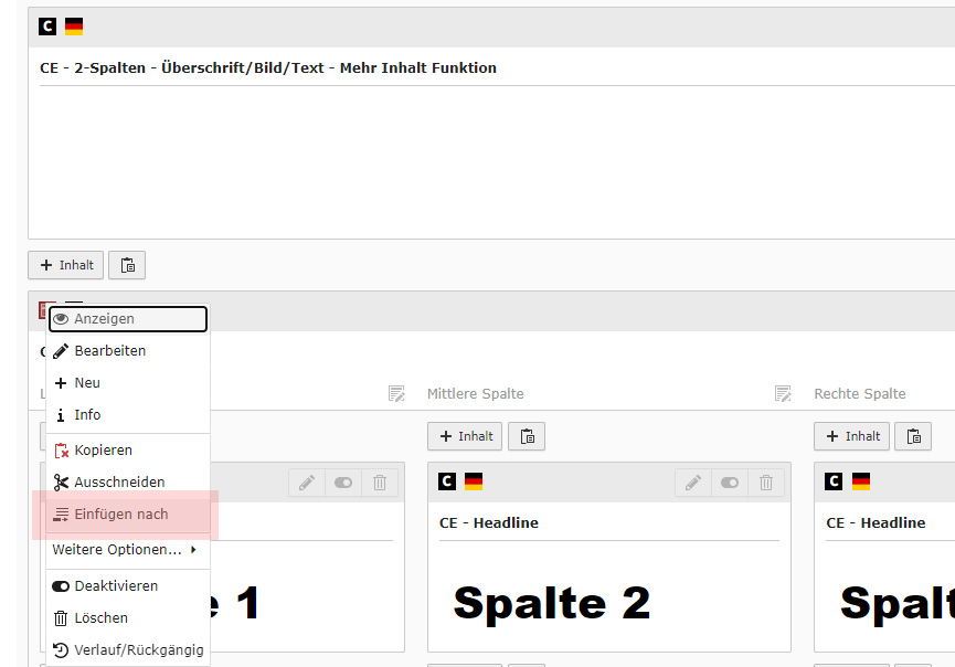 Copying and Paste after doesnt work correctly · Issue #357 · b13/container · GitHub