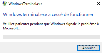 Terminal Crash on exit · Issue #9844 · microsoft/terminal · GitHub