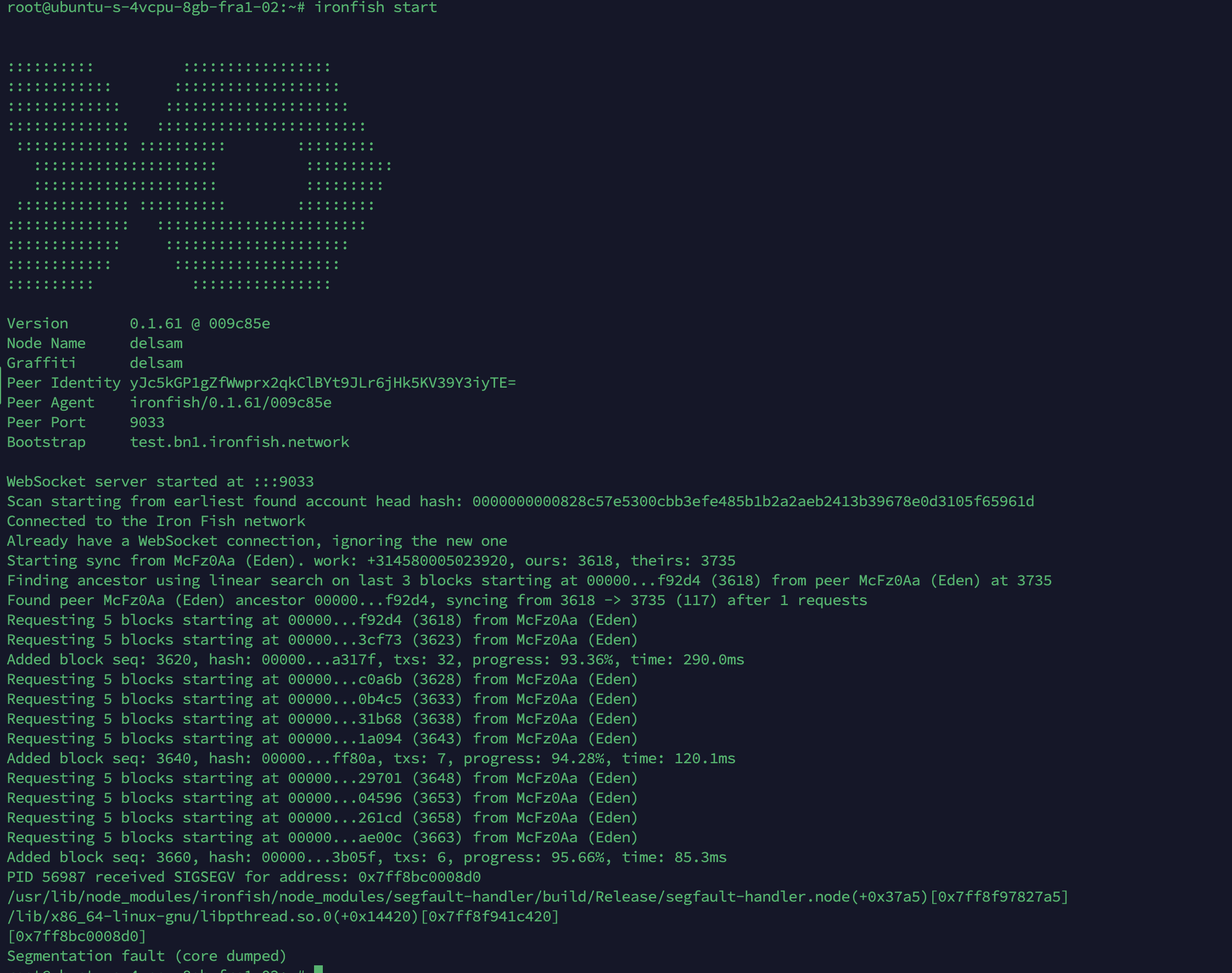 Segmentation fault (core dumped) · Issue #2985 · iron-fish/ironfish · GitHub