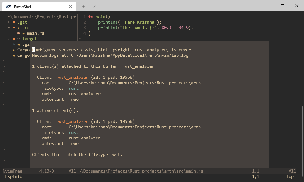 rust-tools setup issue · Issue #227 · NvChad/NvChad · GitHub