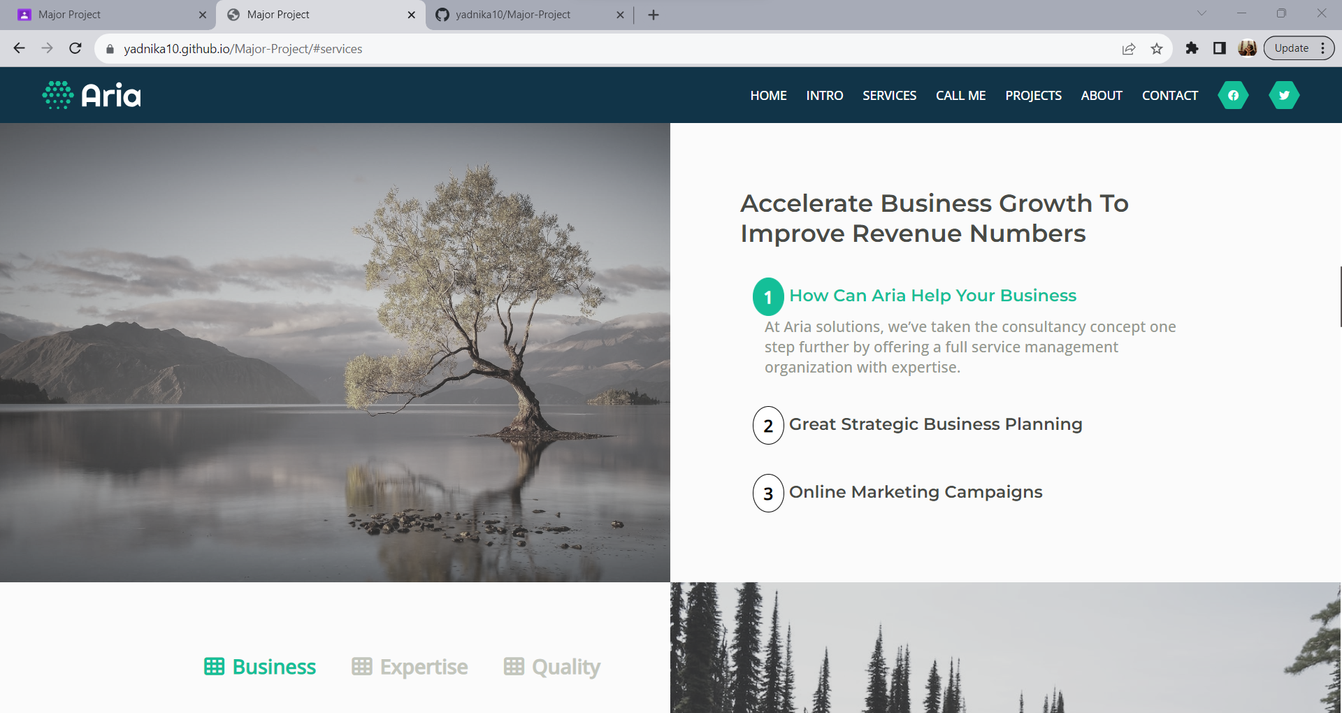 GitHub - yadnika10/Major-Project