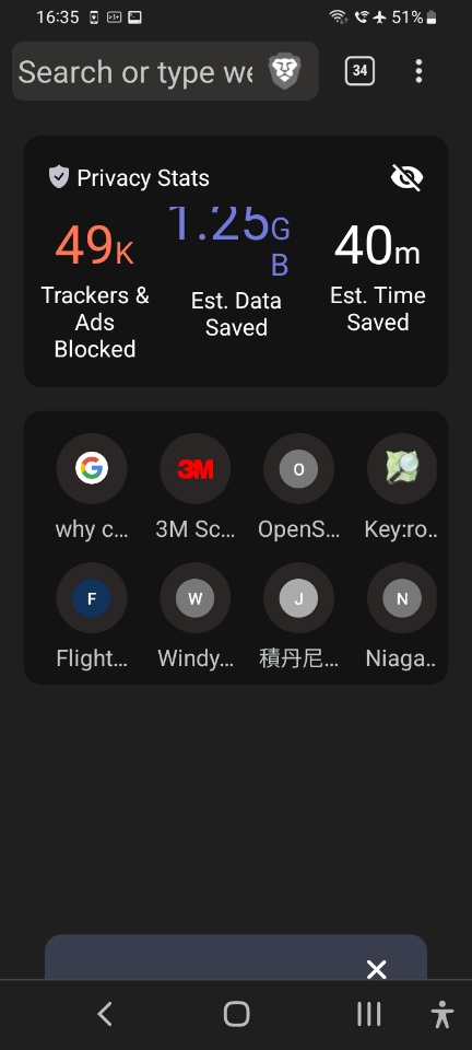 Mysterious gray area at bottom of screen · Issue #27834 · brave/brave-browser · GitHub